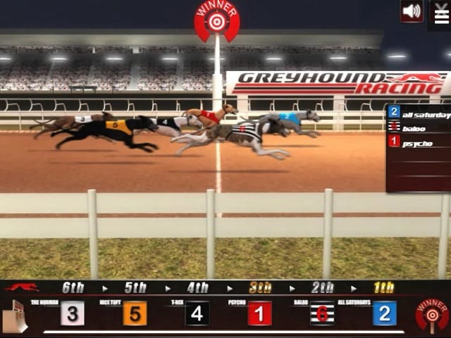 DOG RACE NIGHT juego online en JuegosJuegos.com